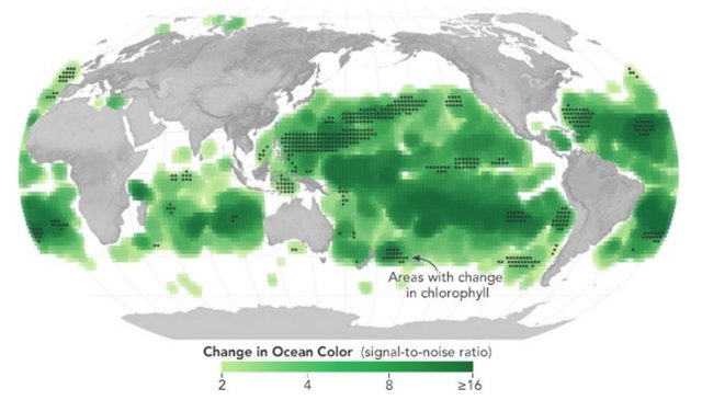 El cambio climático da nuevo color al océano